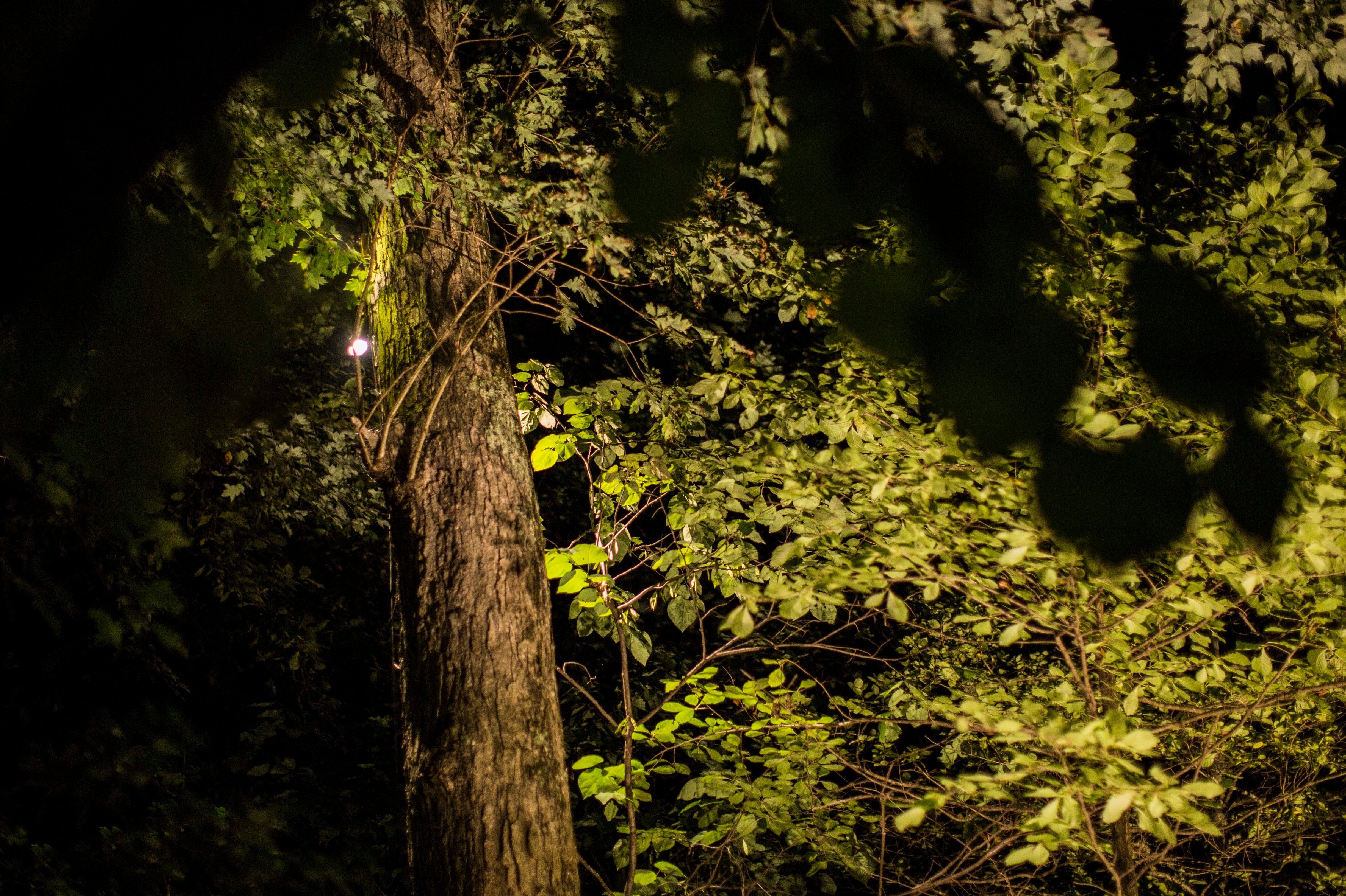 Keep Your Distance: What is the proper distance to install landscape l ...